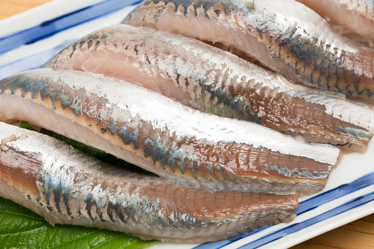 いわしの旬はいつ？栄養と美味しい食べ方 | オリーブノート公式 - カラダに美味しい、オイルのノート